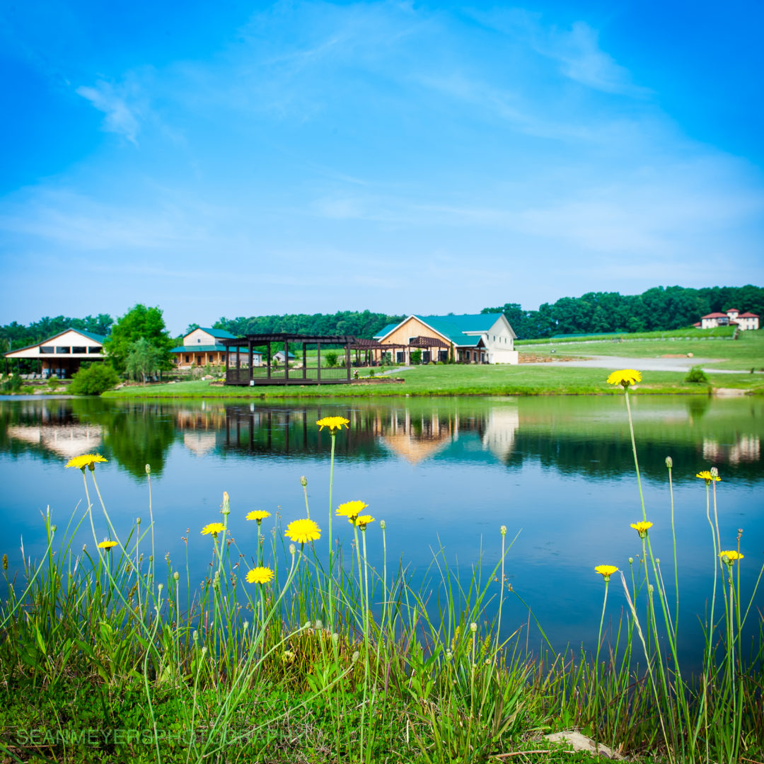 3 Must-See Wineries of Rowan County - Live Original