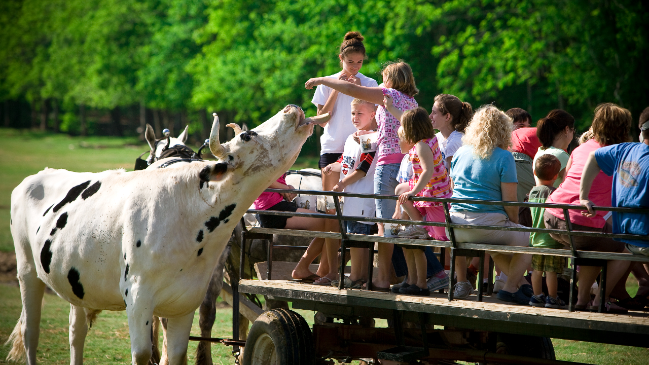 Family Friendly Activities in Rowan County - Live Original