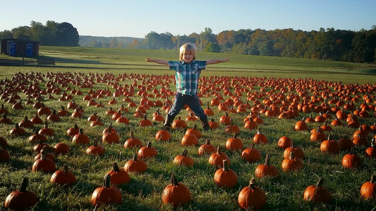 It's Finally Fall Y'all - Live Original