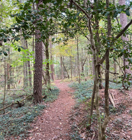 An Absolute Gem: Eagle Point Nature - Live Original